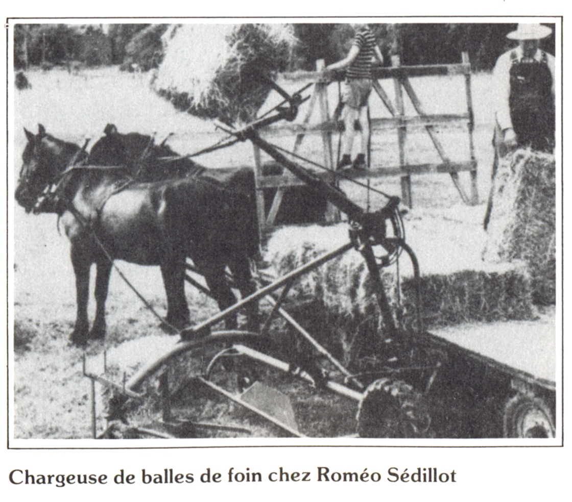 SÉDILLOT, LAPRAIRIE, 1955 | Musée St-Ephrem