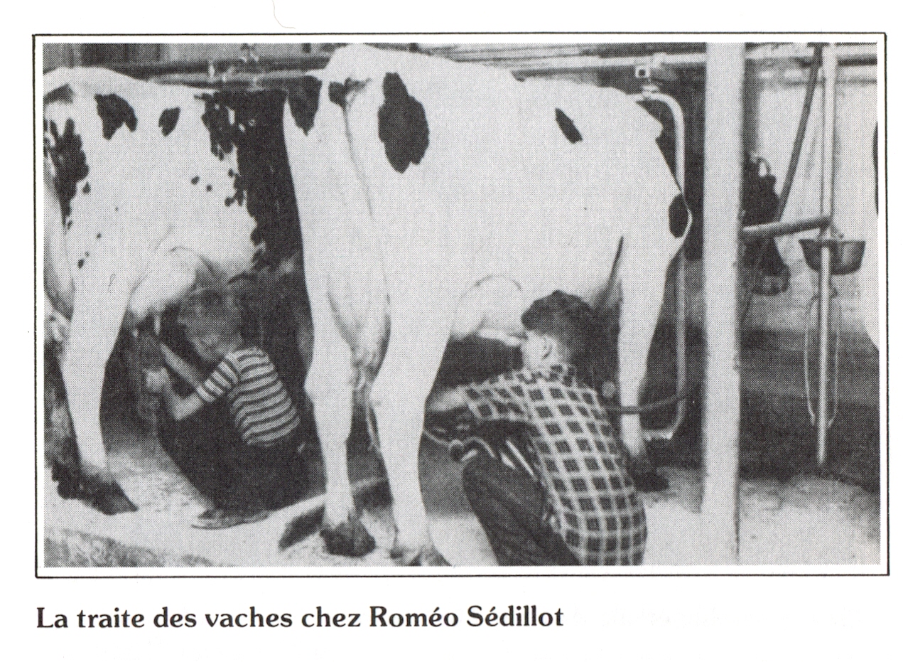 SÉDILLOT, LAPRAIRIE, 1955 | Musée St-Ephrem